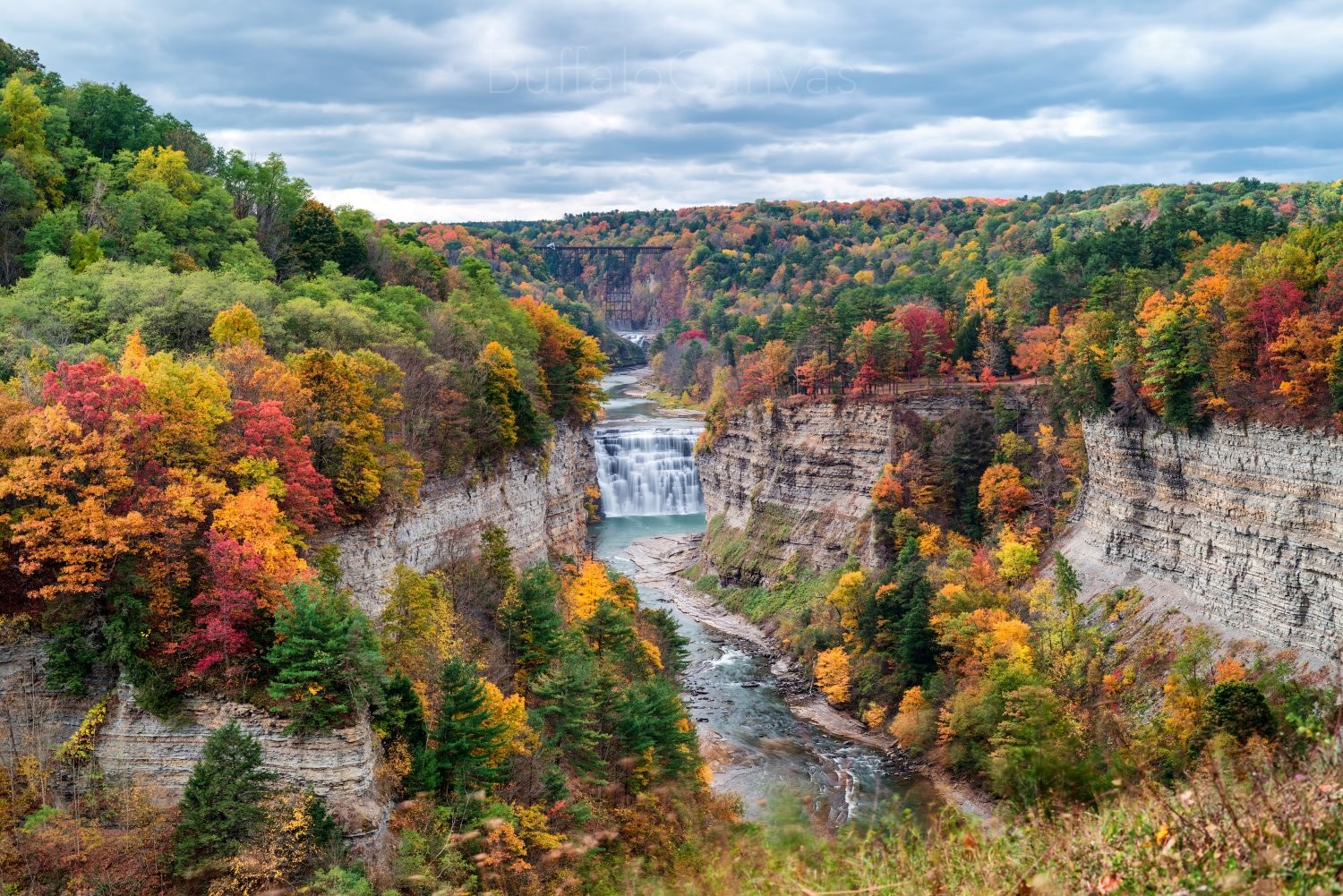 WNY Nature - Photo Store - Buffalo Canvas